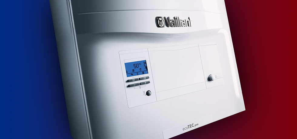 Ignis Boiler Services