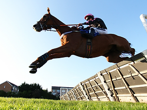 HORSES IN TRAINING 4 | David Dennis Racing
