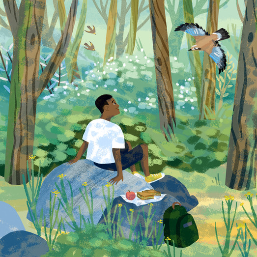 Freelance Illustrator | Catherine Pape Illustration