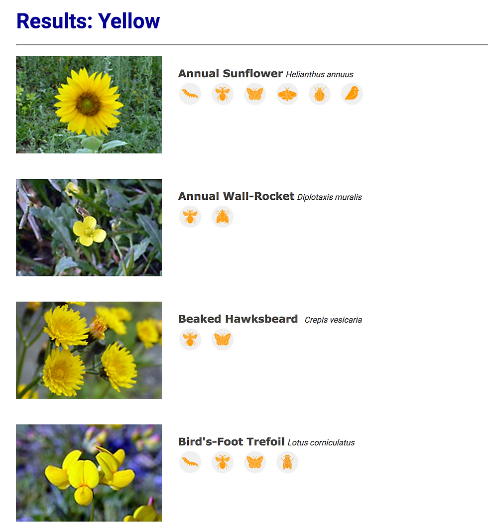 Native wildflowers of the UK. Native Flower Identification tool.