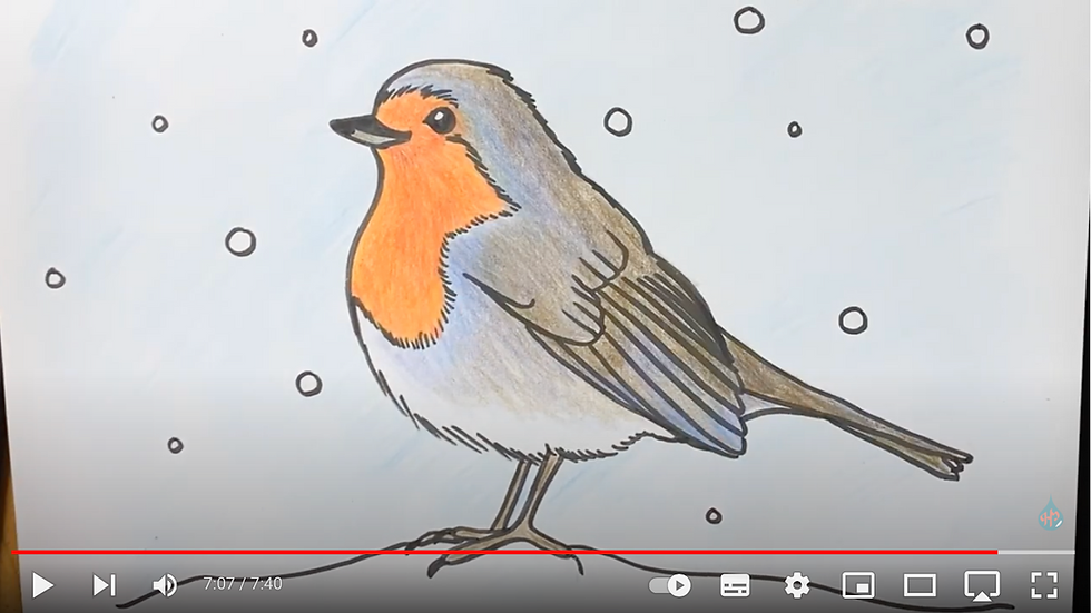 How to draw a robin step by step. Harriet Muller