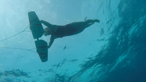 Wing Diving - Deposit Only | Taste of Isla
