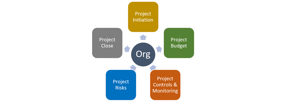 Project Management & Risk