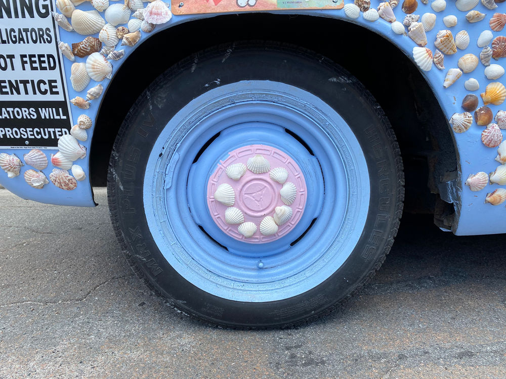 SHELL ON WHEELS: Florida Man shellacks classic car with seashells from ...