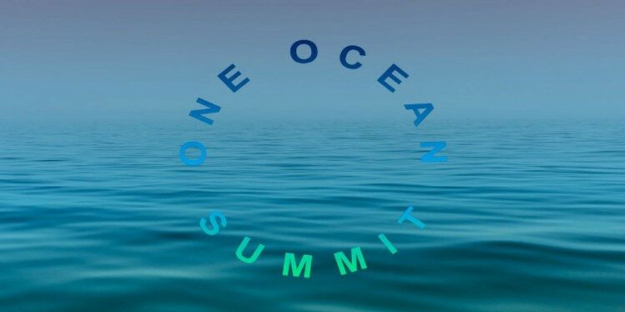 Le One Ocean Summit, pourquoi