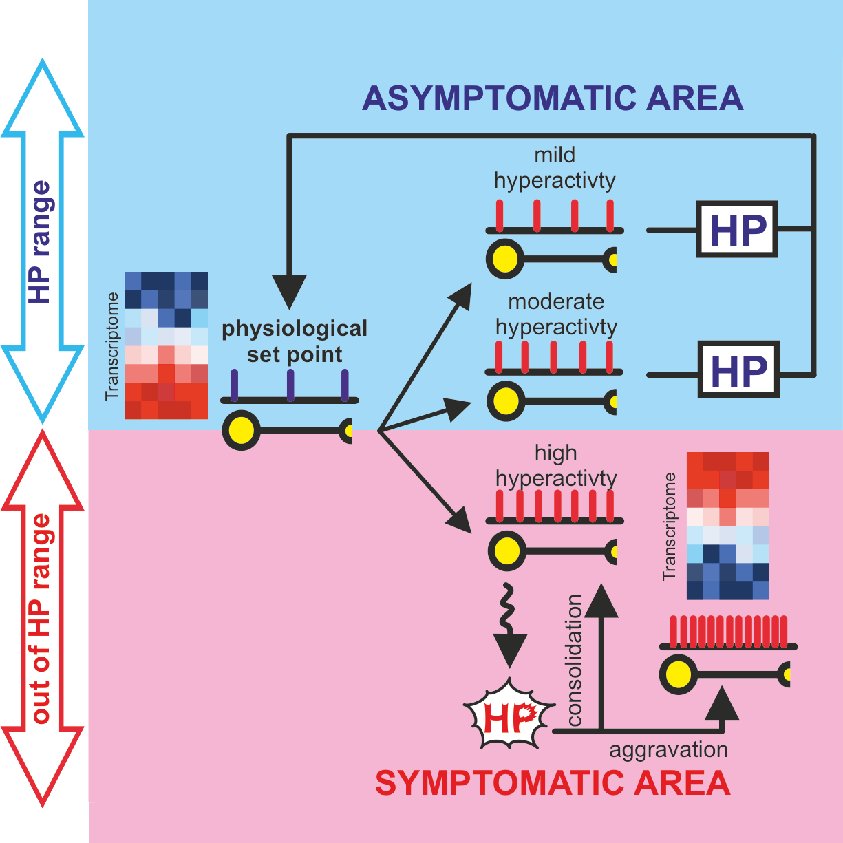 HOMEOSTATIC PLASTICITY