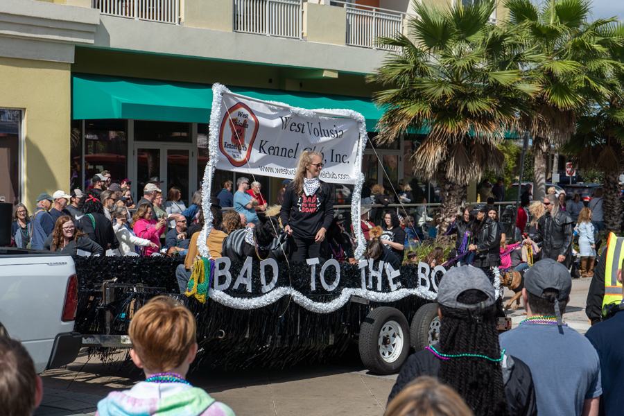 Dog Parade_2020 | WVKC