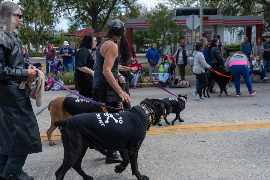 Dog Parade_2020 | WVKC