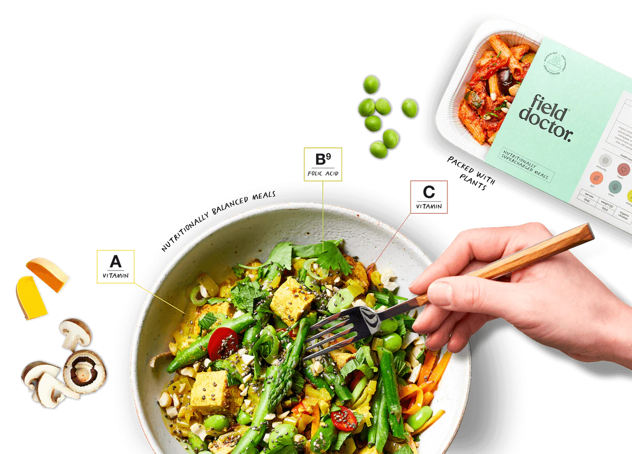 Superb Software Development | Squid Ink Software