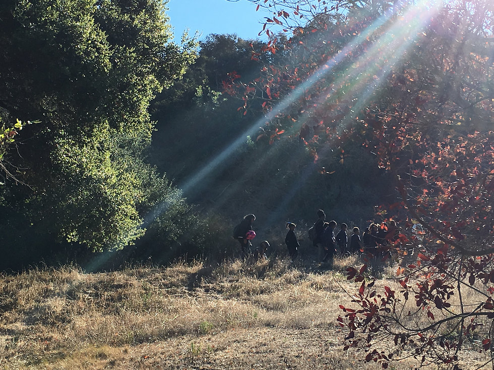 Outdoor Equity | Community Nature Connection | Los Angeles