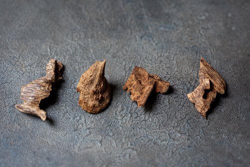 AGURU : Oud Collection | ryoko-online