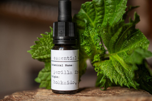 Shiso Essential Oil | ryoko-online