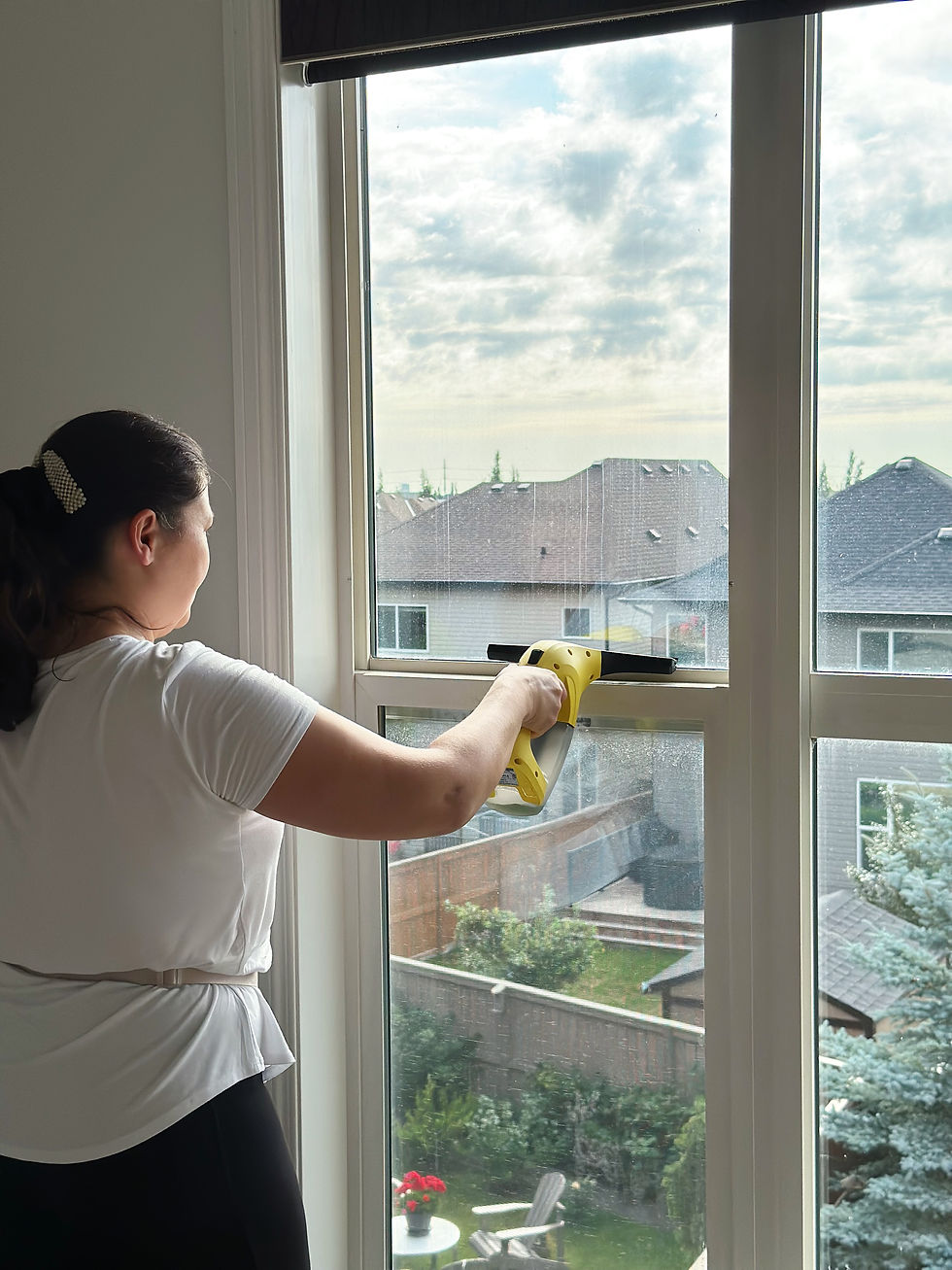 Ukr cleaner | Calgary, AB, Canada