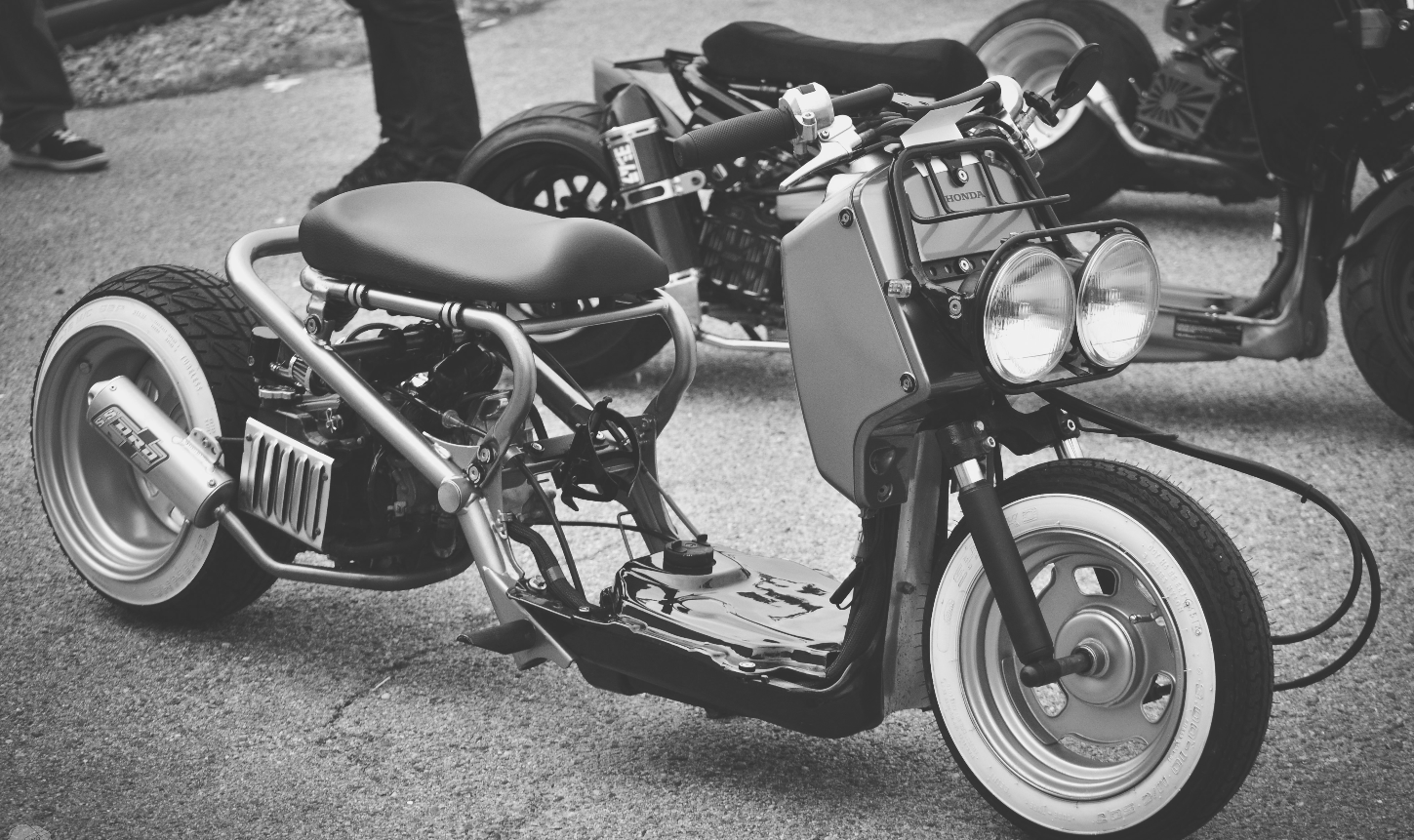 Small Fast Things | Terms