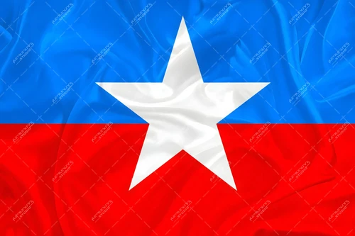 VCK Flag Wrinkled - VCK Flag, VCK Flag Creases, Thirumavalavan Flag ...