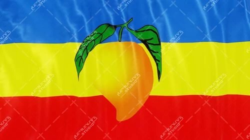 PMK Flag Wave Stock Image - Pattali Makkal Katchi Flag, PMK Flag | RE ...