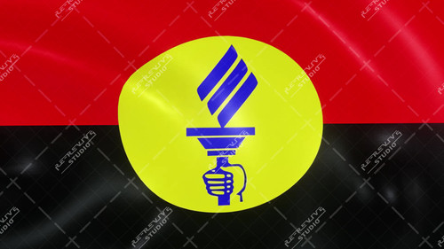 DMDK Flag Stock Video | RE-Revive Studio