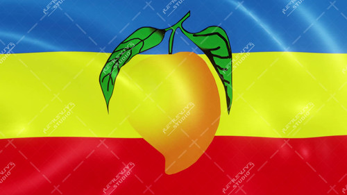 PMK Flag Stock Video | RE-Revive Studio