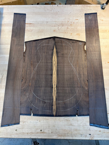 Desert Ironwood (Olneya Tesota) The Genesis Tree set #2 | Derrio Wood Co