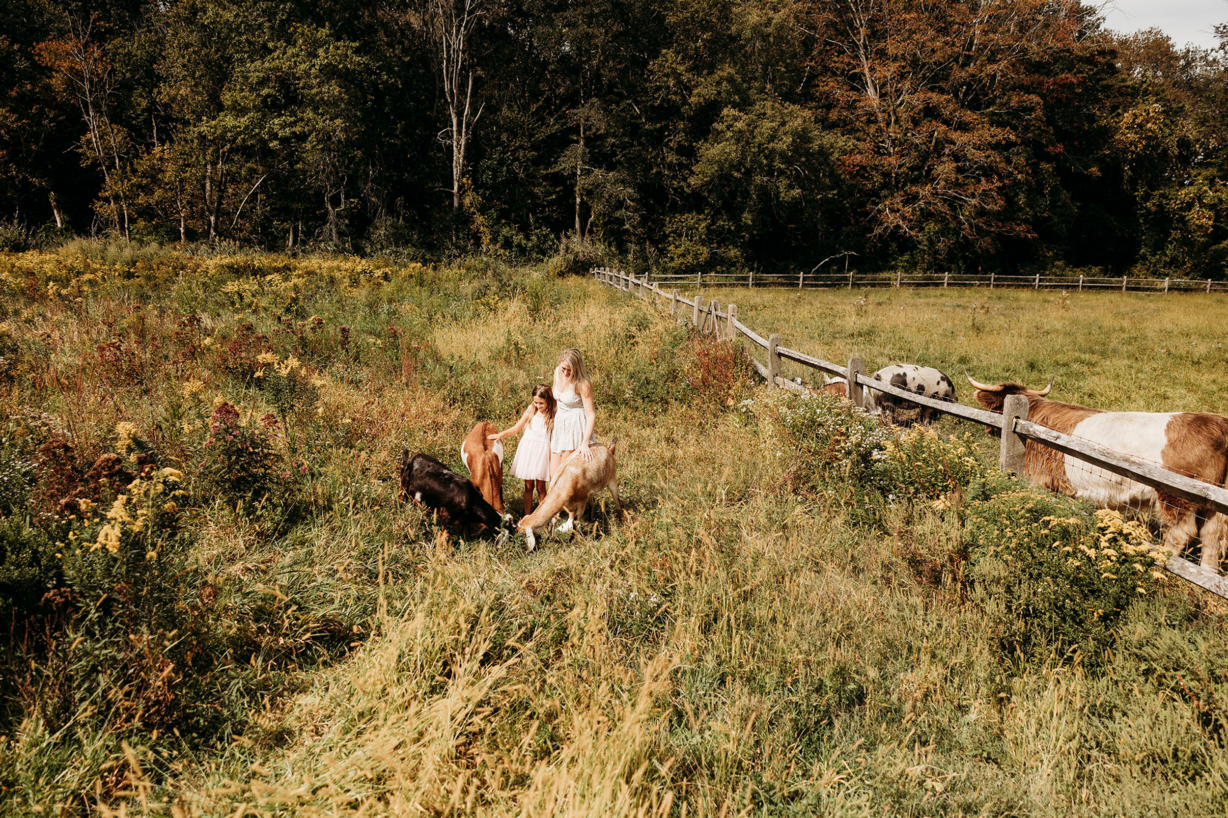 Blue Iris Farm Events Calendar | Animal Sanctuary Visits, CT