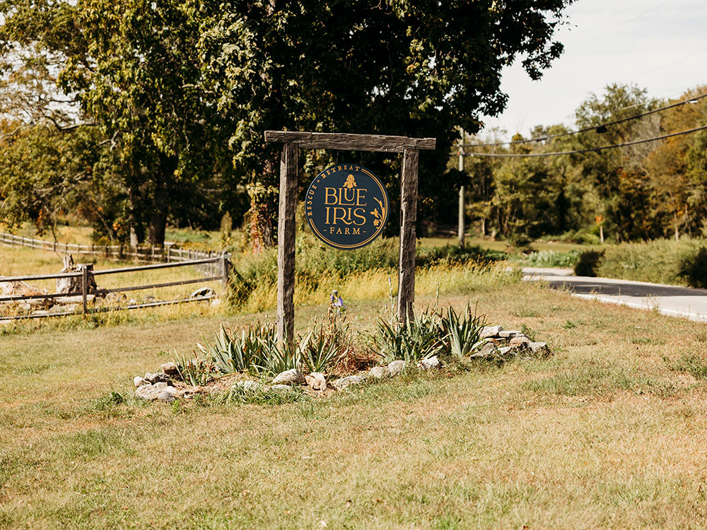 Blue Iris Farm Press & Media | Animal Sanctuary News