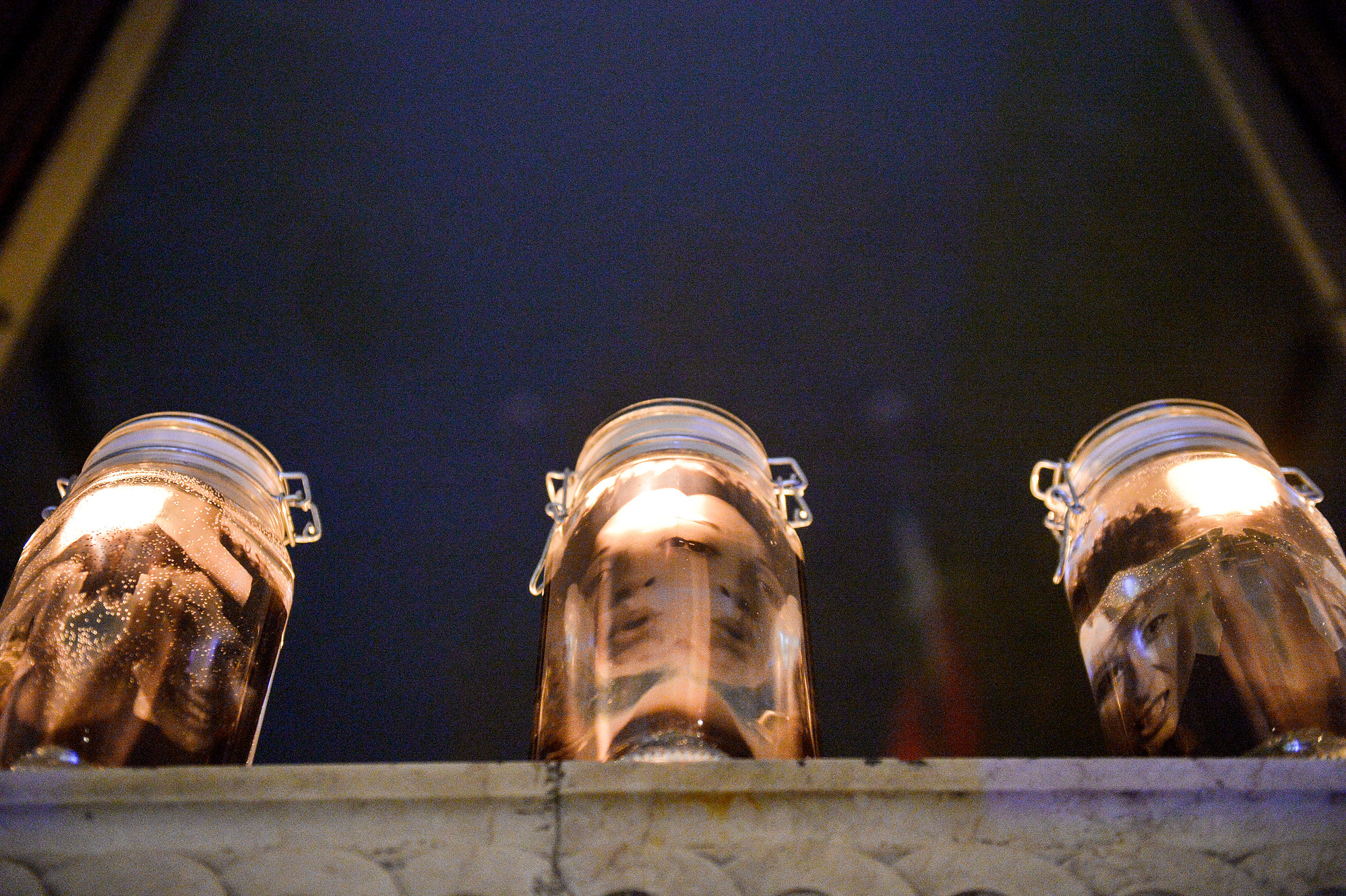 project 14 Filo conduttore | giungolab