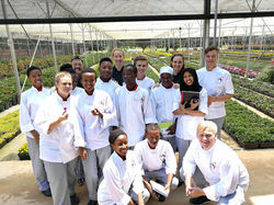 Professional Course | Gauteng | Steyns Culinary School