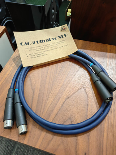 GAC -2 UltraPro XLR (Gotham Audio Design) | Begins Acoustic