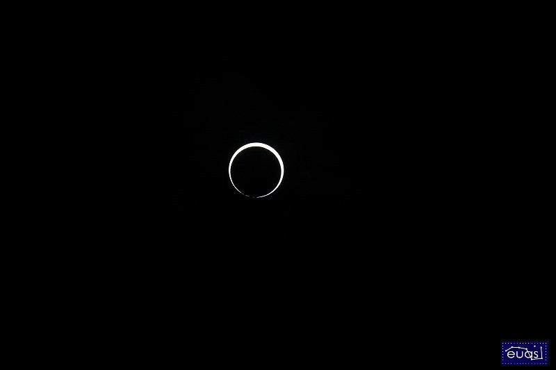 ギャラリー | euas