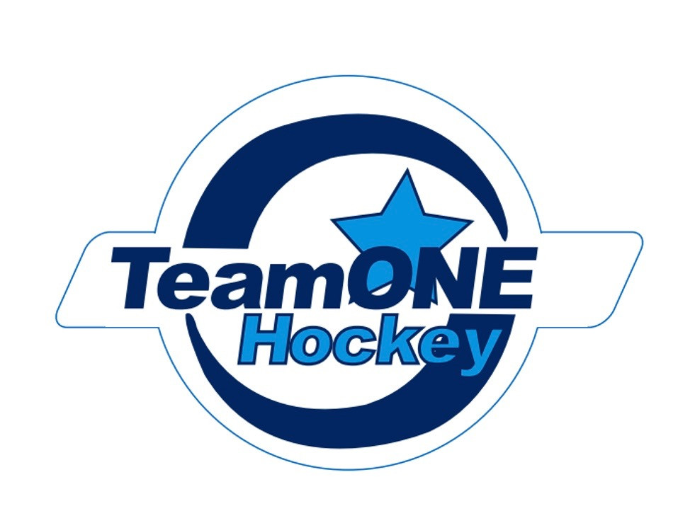 HomePage | TeamONE