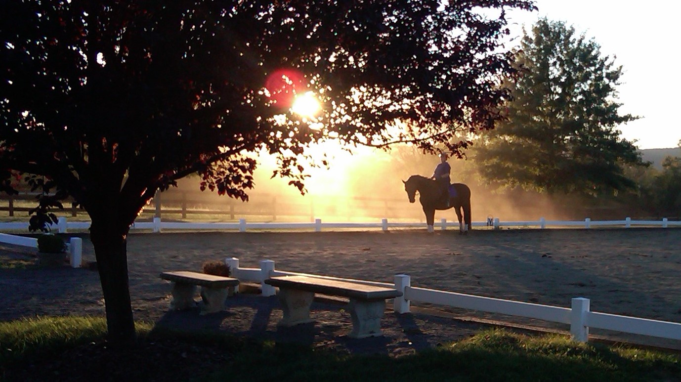 Wildfire Farm and Mary Flood Dressage