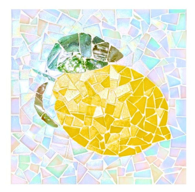 Kitchen Trivet Kits | Montet Designs