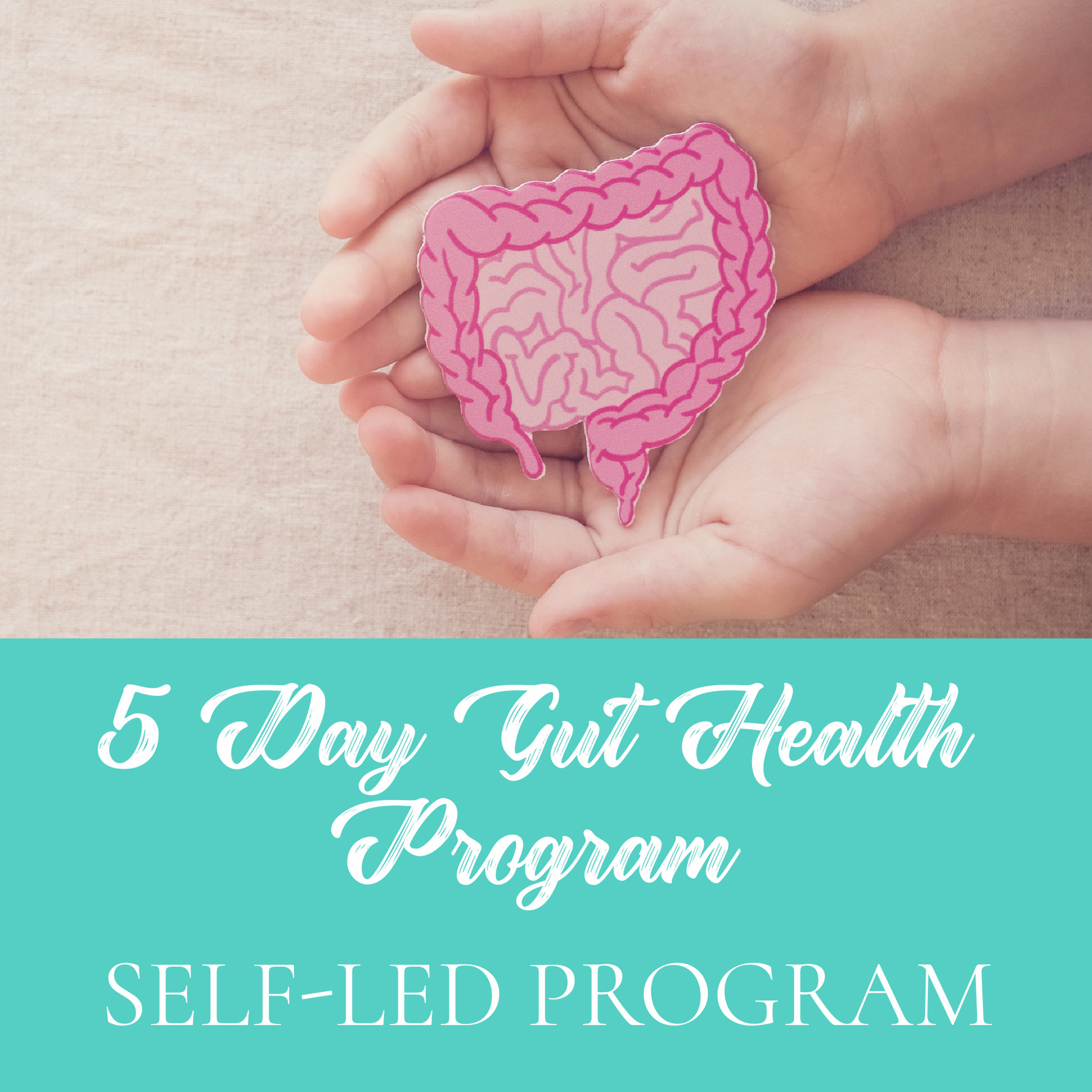 5 Day Gut Health Program (S... | Rachel Harshfield