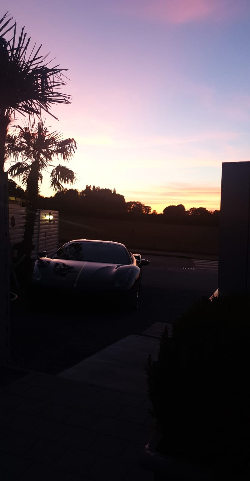 Elch Club Restaurant | Galerie