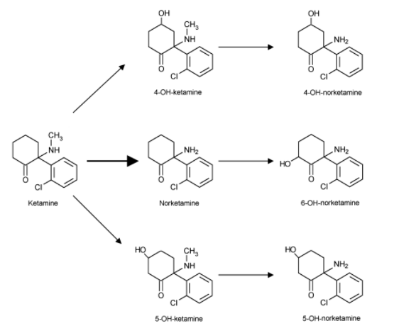 Ketamine Administration Routes at a Glance: A Quick Comparison for ...