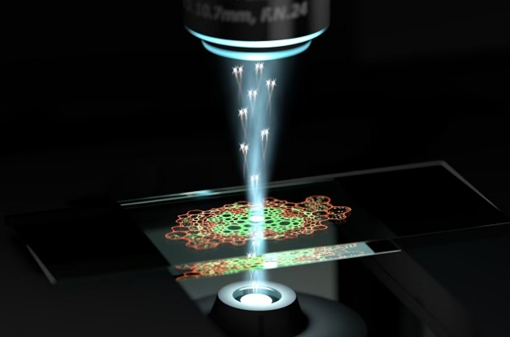 Red Biotech: An Overview