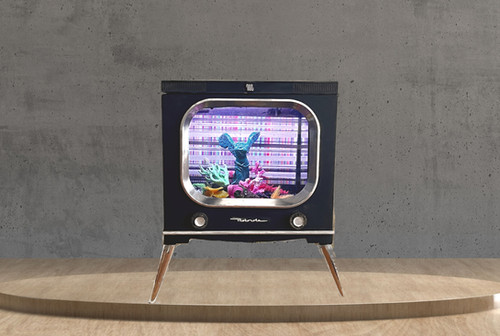 Retro Motorola TV Aquarium | Unique 1950s Vintage TV Fish Tank ...