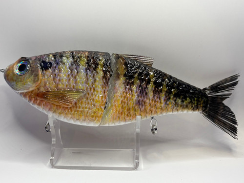 Silencer Glide-Bluegill Fire | There You Go Fishing