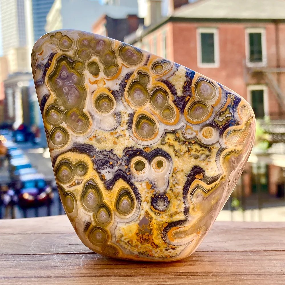 Invoke Joy & Focus with Quartz & Bumblebee Jasper Earth Odyssey