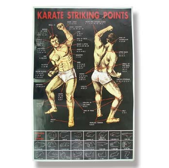 Poster | SG martialarts
