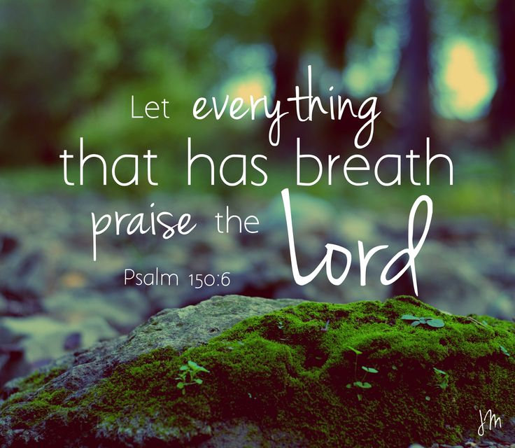 It's Time to Praise the Lord!