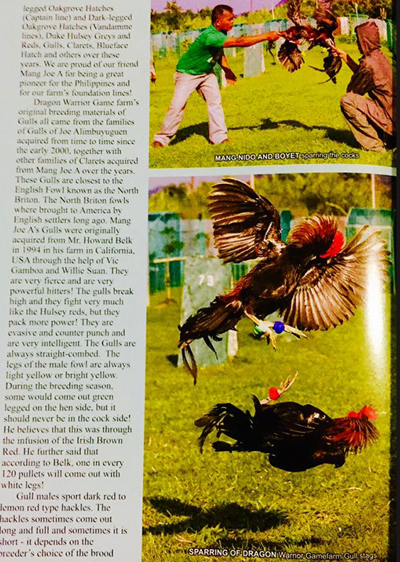 DWGF featured in Pit Games Magazine