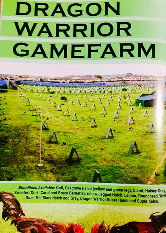 DWGF featured in Pit Games Magazine