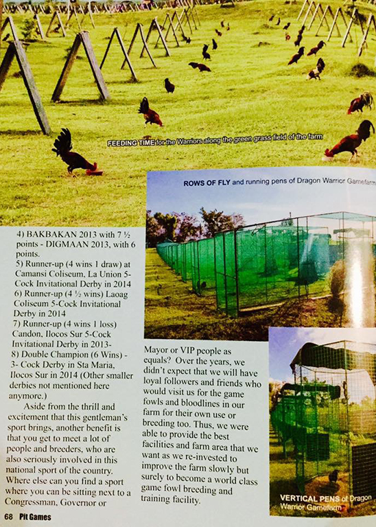 DWGF featured in Pit Games Magazine