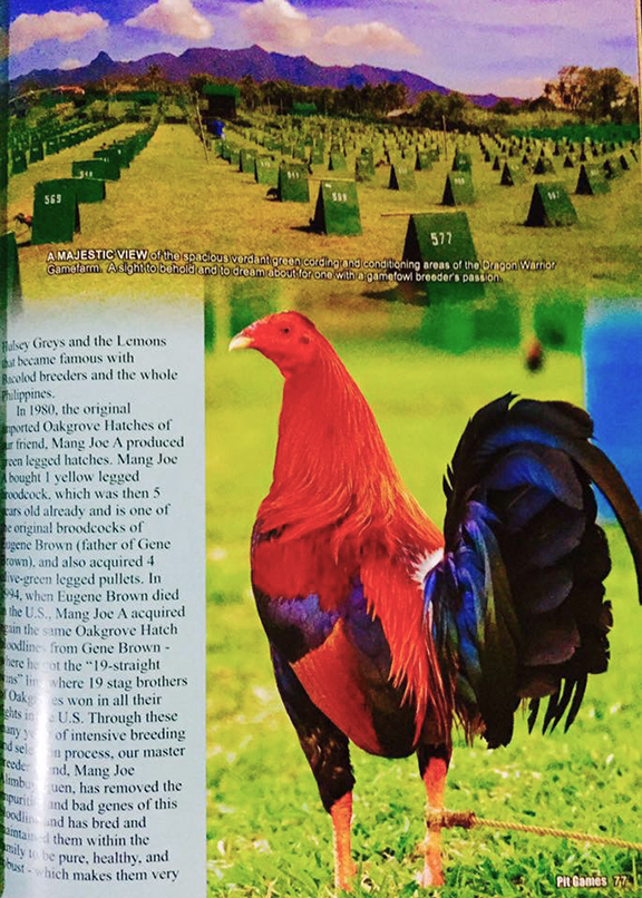DWGF featured in Pit Games Magazine