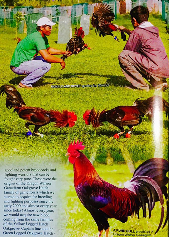 DWGF featured in Pit Games Magazine