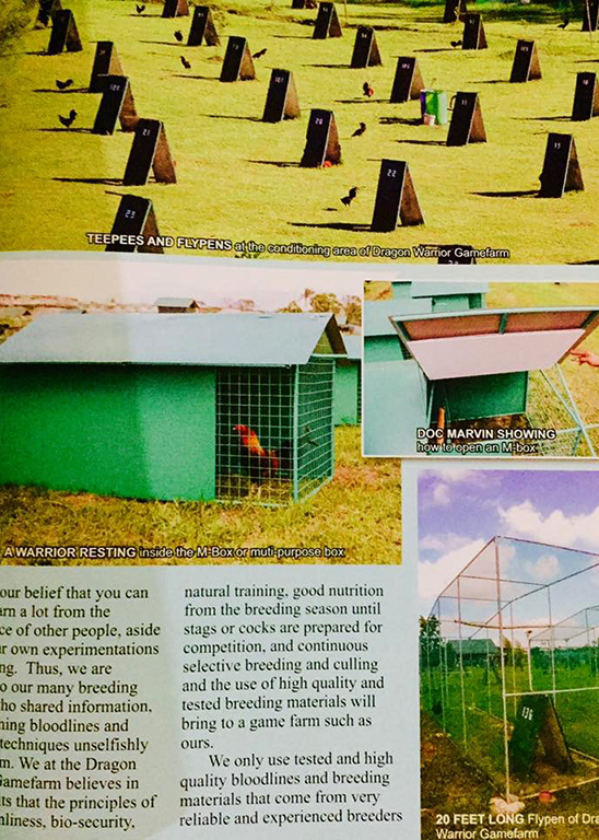 DWGF featured in Pit Games Magazine