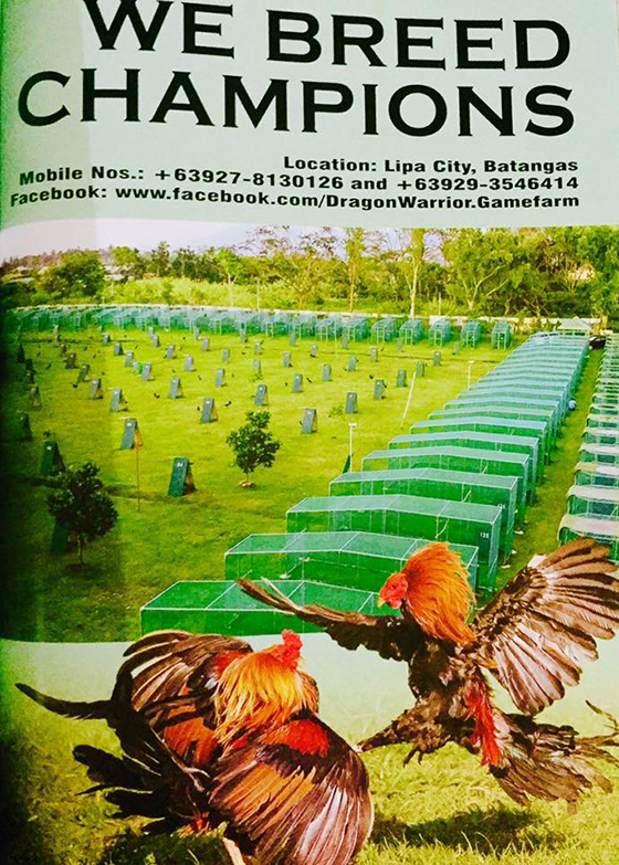 DWGF featured in Pit Games Magazine