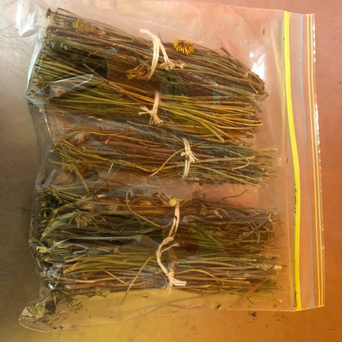 TRADITIONAL NAVAJO TEA (Chʼil ahwééh) | Mutton Butcher Shop