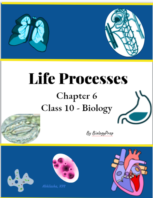 Chapter 6: Life Processes